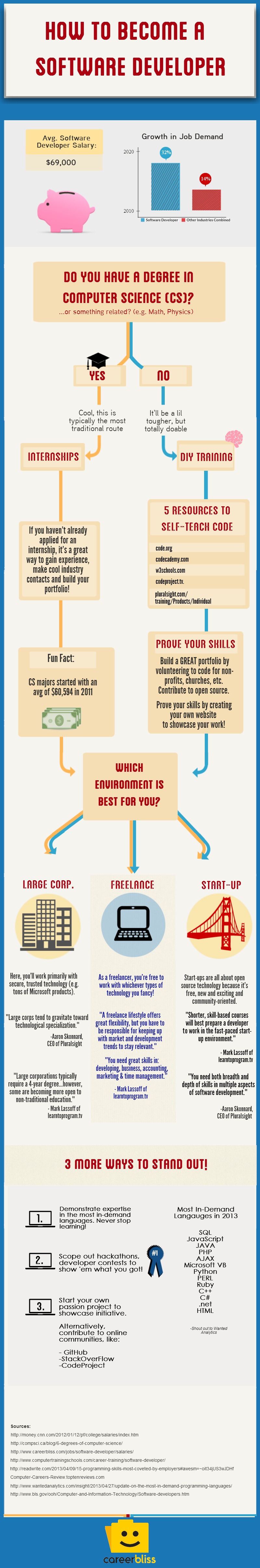 How to Become a Developer {Infographic} - Best Infographics