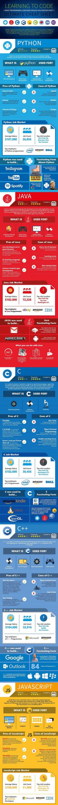 Which Programming Language You Should Master First? - Best Infographics